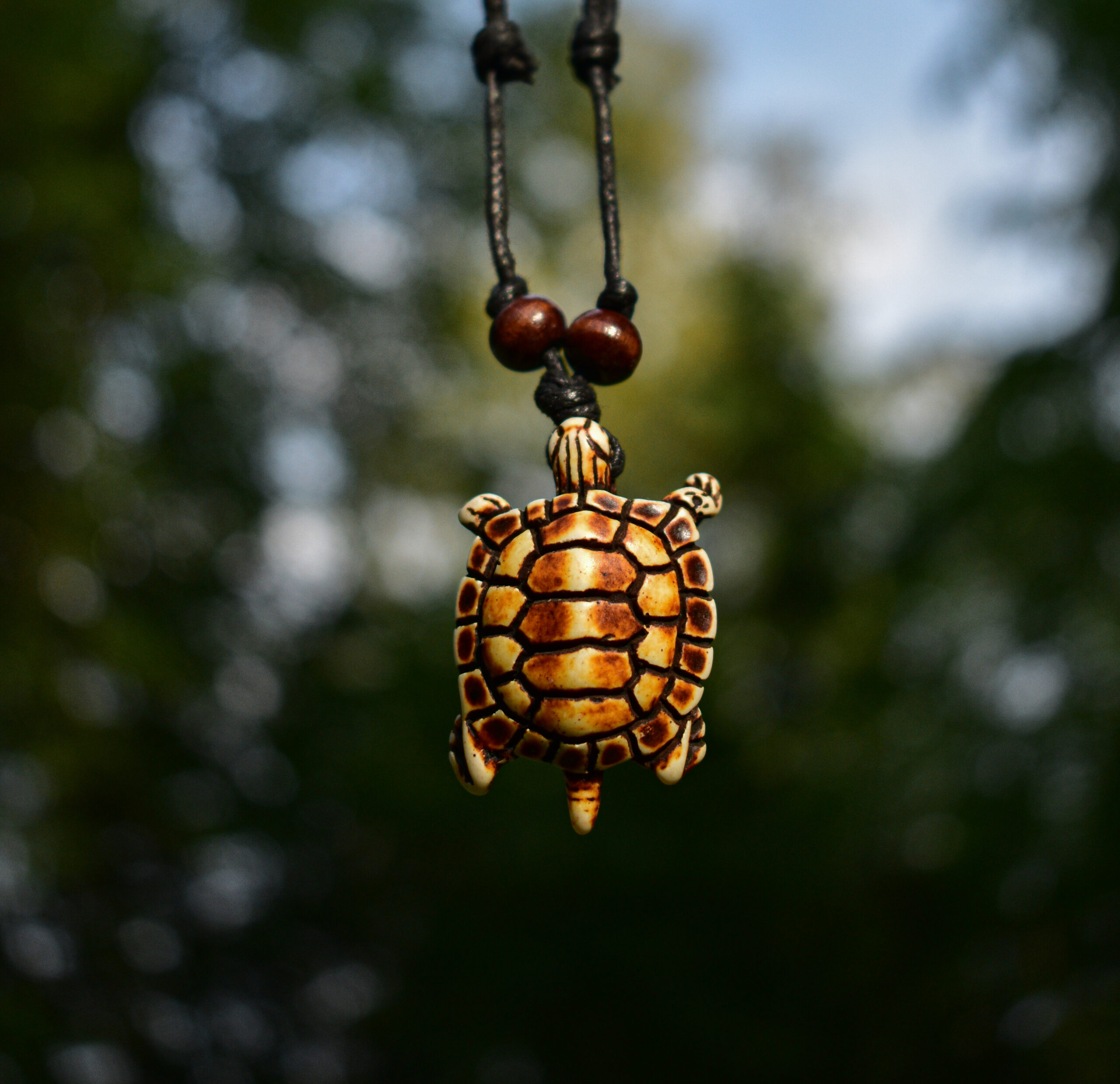 Kilpkonn kaelakee - Rongabutiik