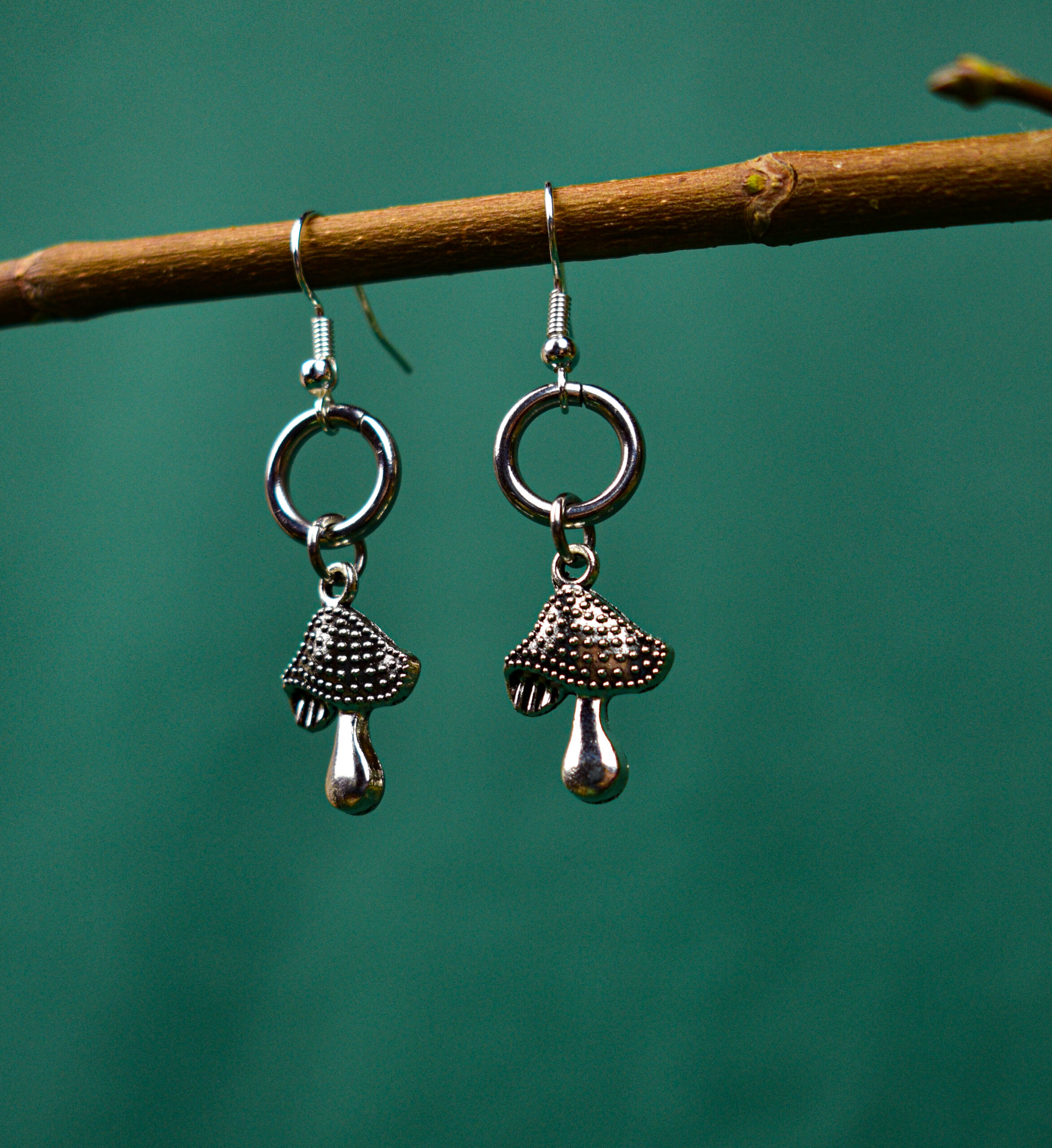 Seen rõnga otsas kõrvarõngad - Rongabutiik