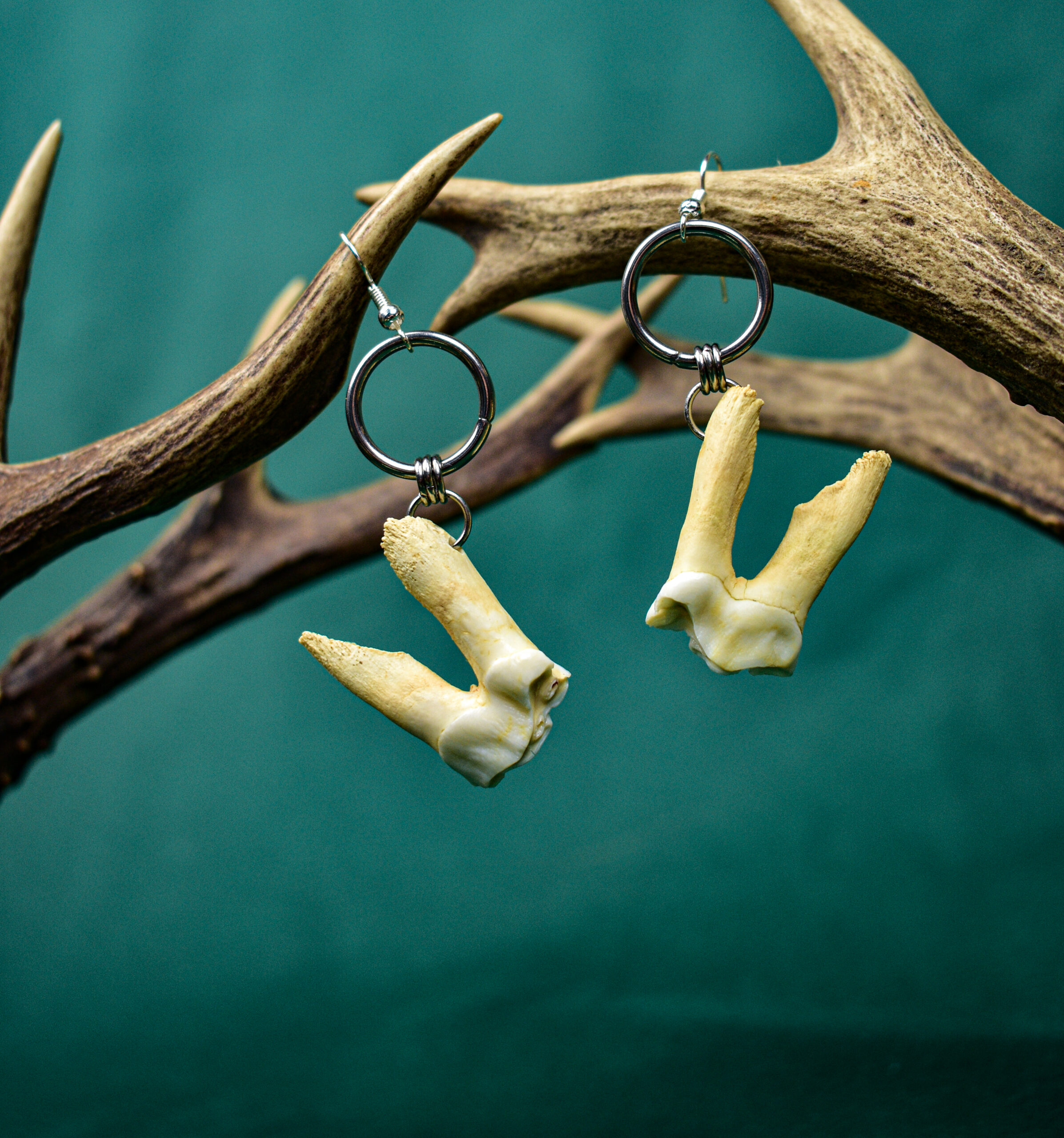 Veise hammas rõnga otsas kõrvarõngad - Rongabutiik