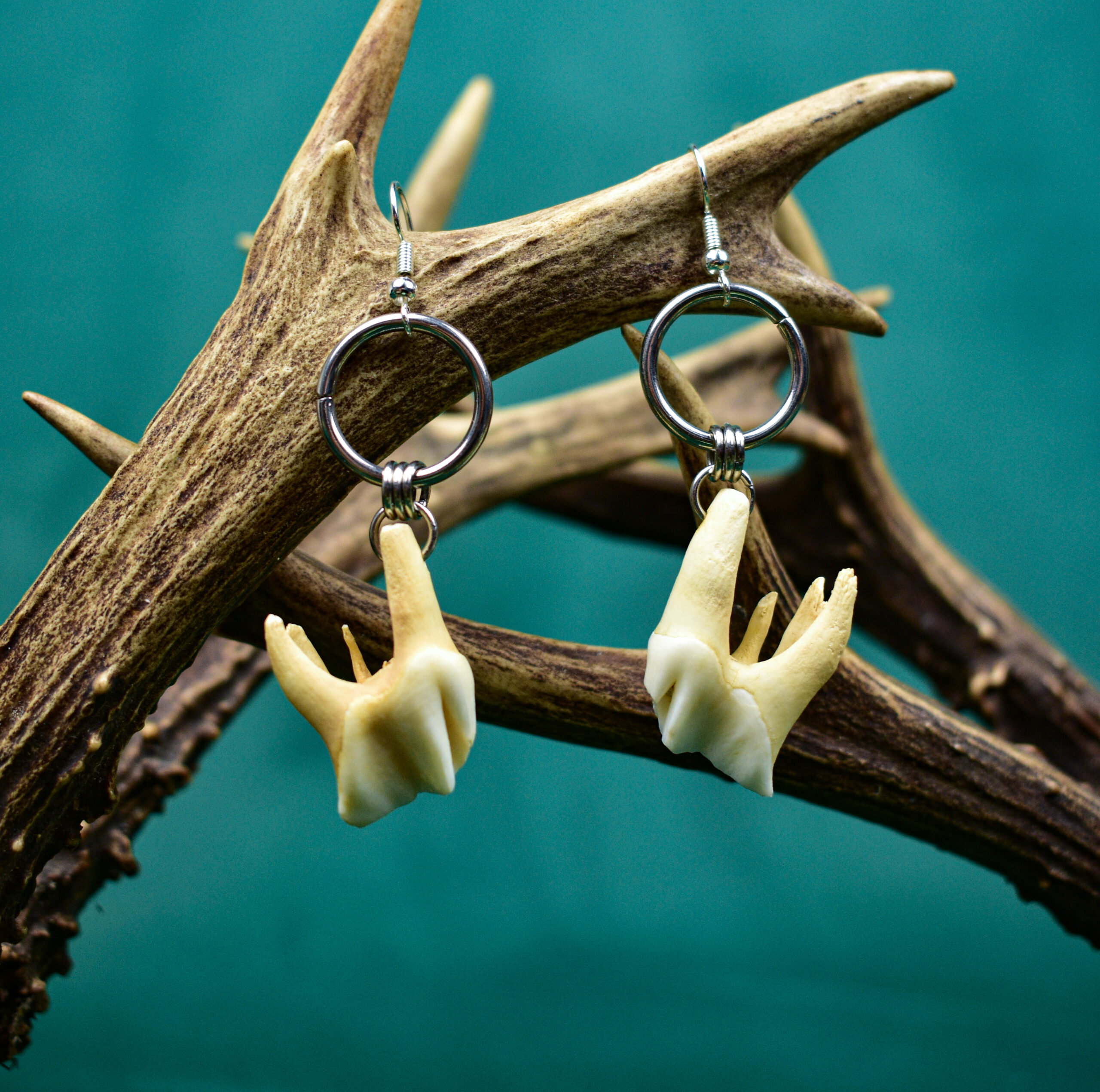 Veise hammas rõnga otsas kõrvarõngad - Rongabutiik